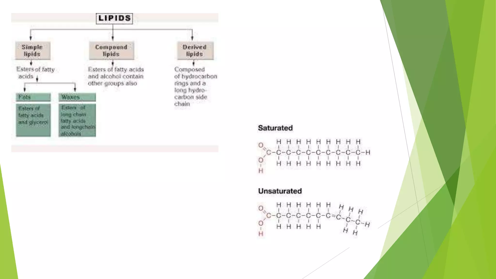 Micromolecules and Macromolecules | PPTX