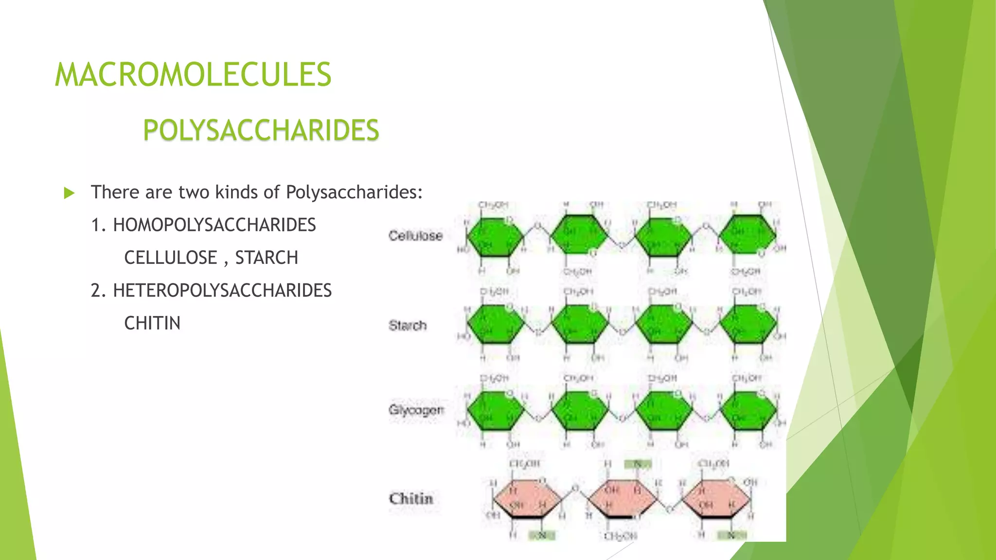 Micromolecules and Macromolecules | PPTX
