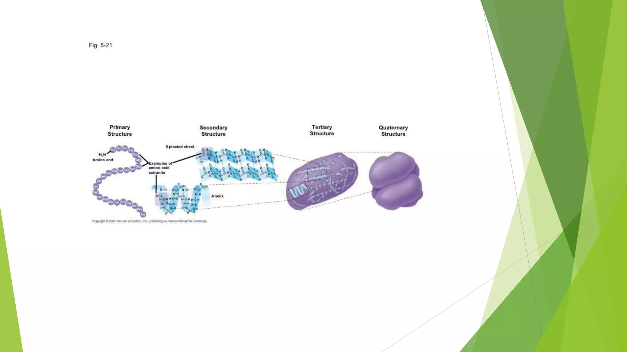 Micromolecules and Macromolecules | PPTX