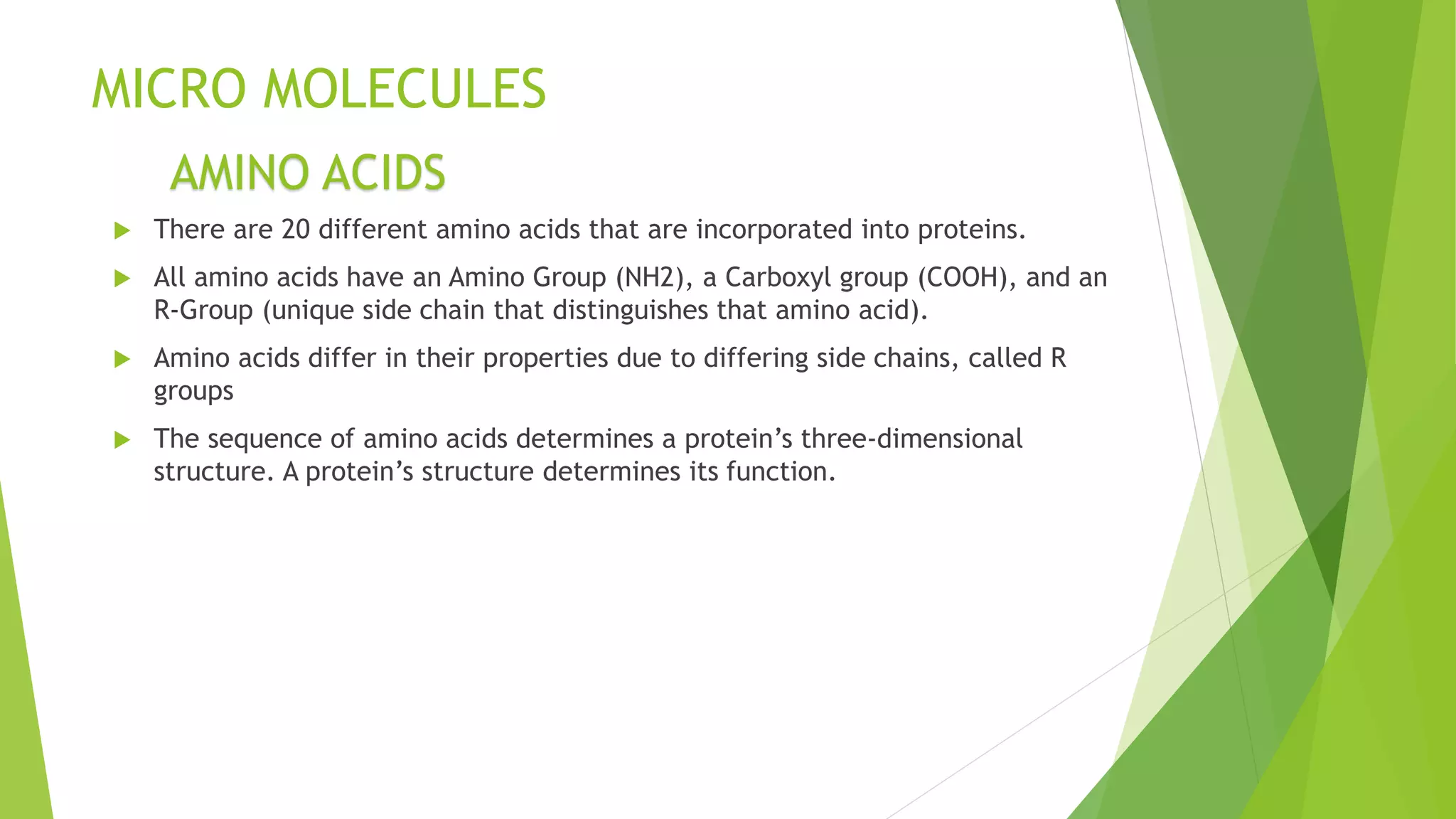 Micromolecules and Macromolecules | PPTX