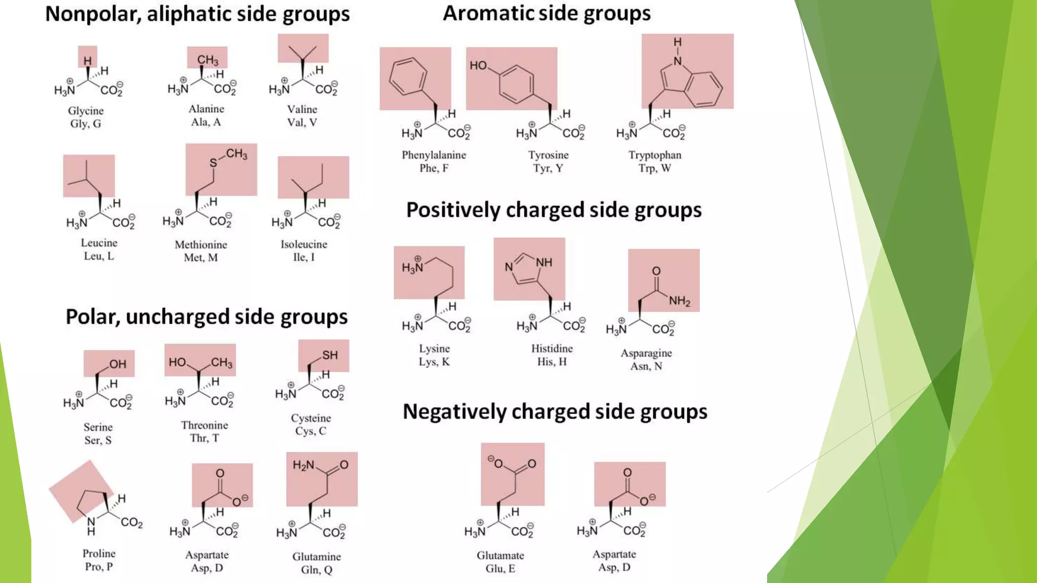 Micromolecules and Macromolecules | PPTX
