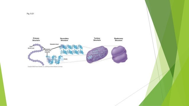 Micromolecules and Macromolecules