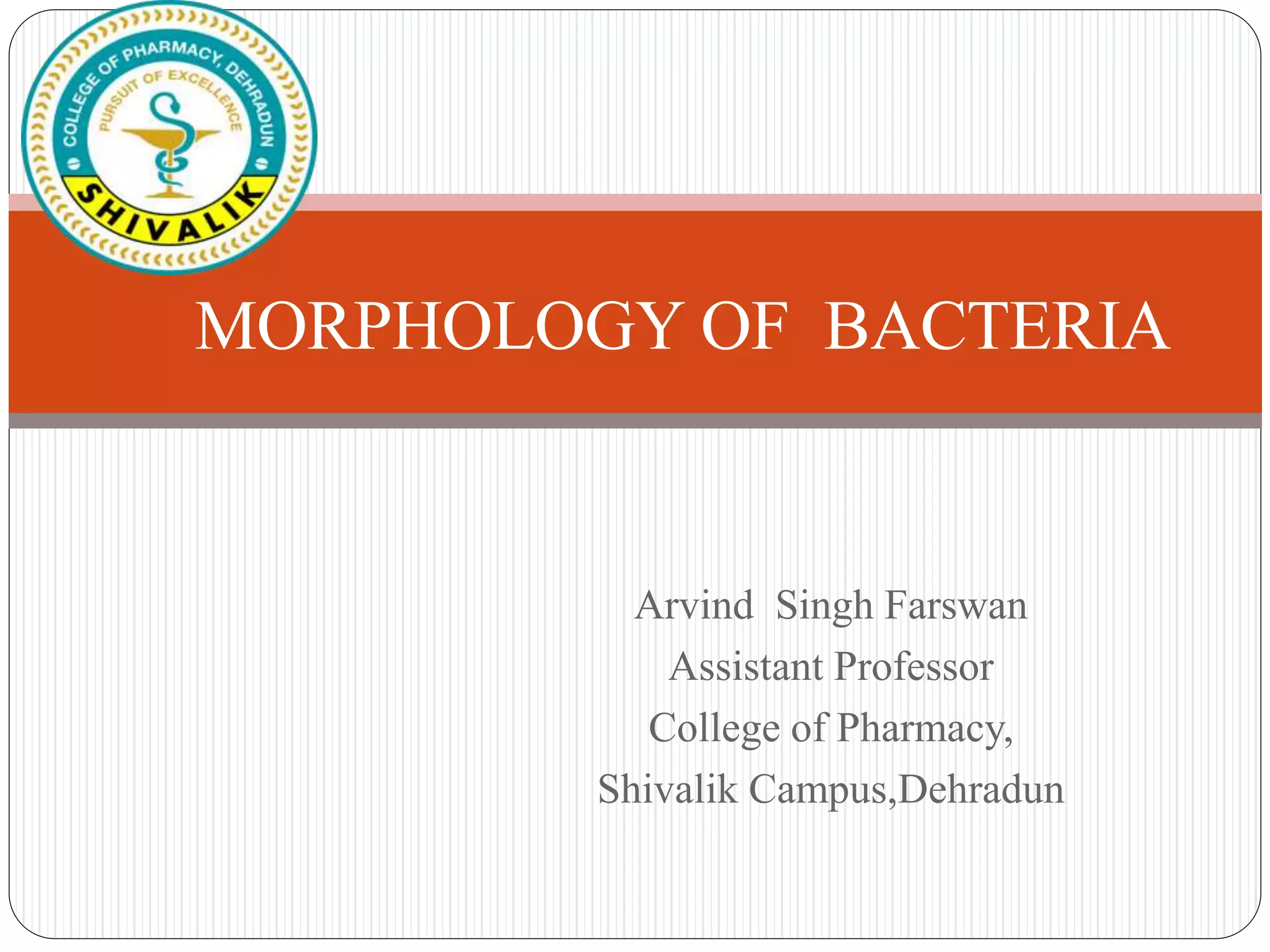 {Microbiology }Morphology of bacteria | PPTX