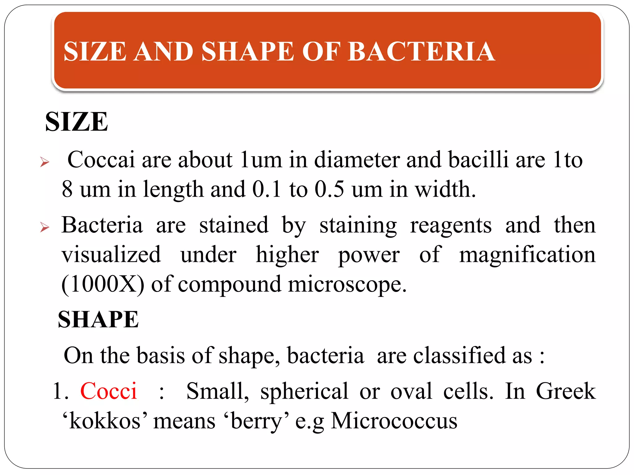 {Microbiology }Morphology of bacteria | PPTX