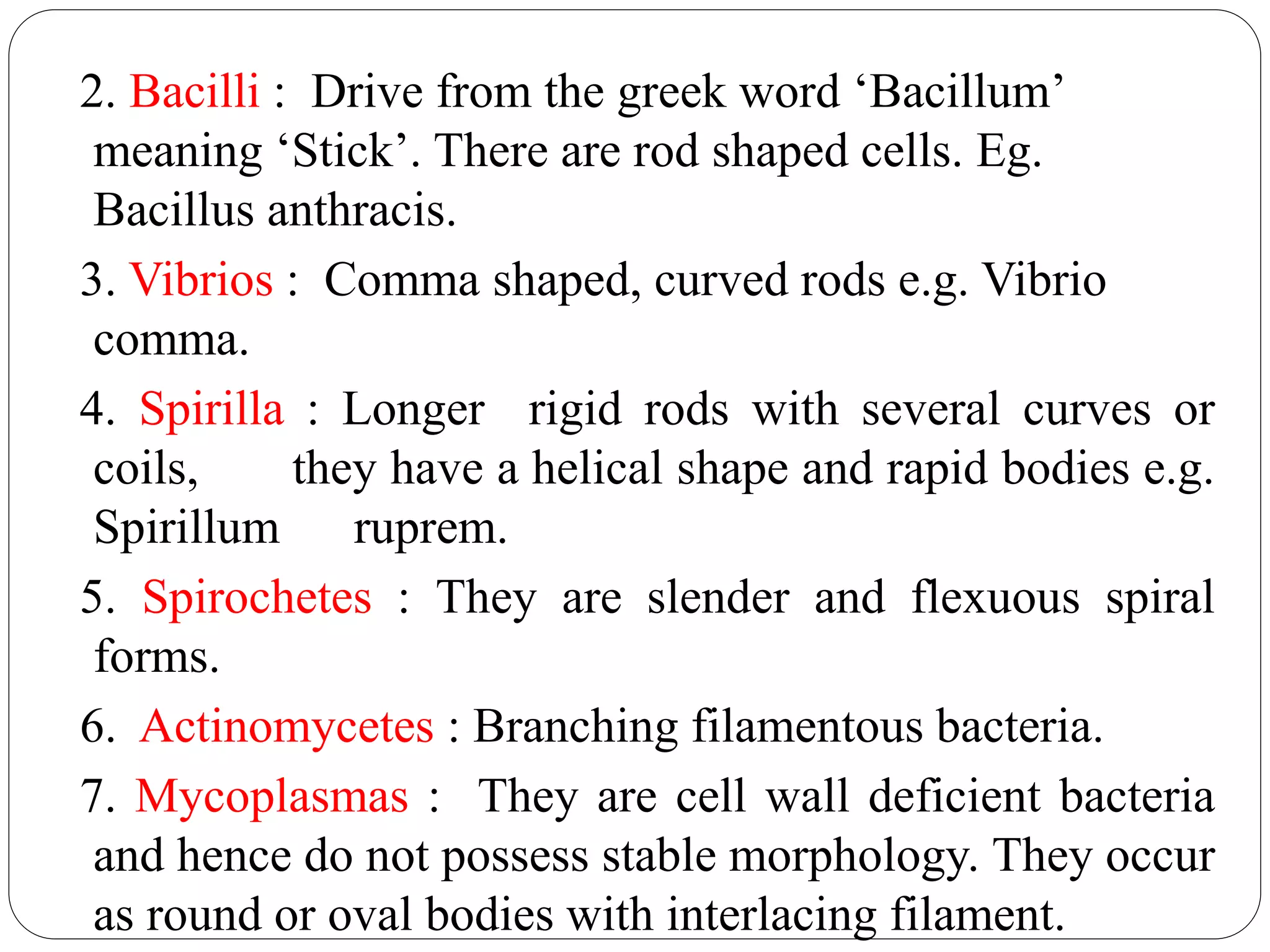 {Microbiology }Morphology of bacteria | PPTX