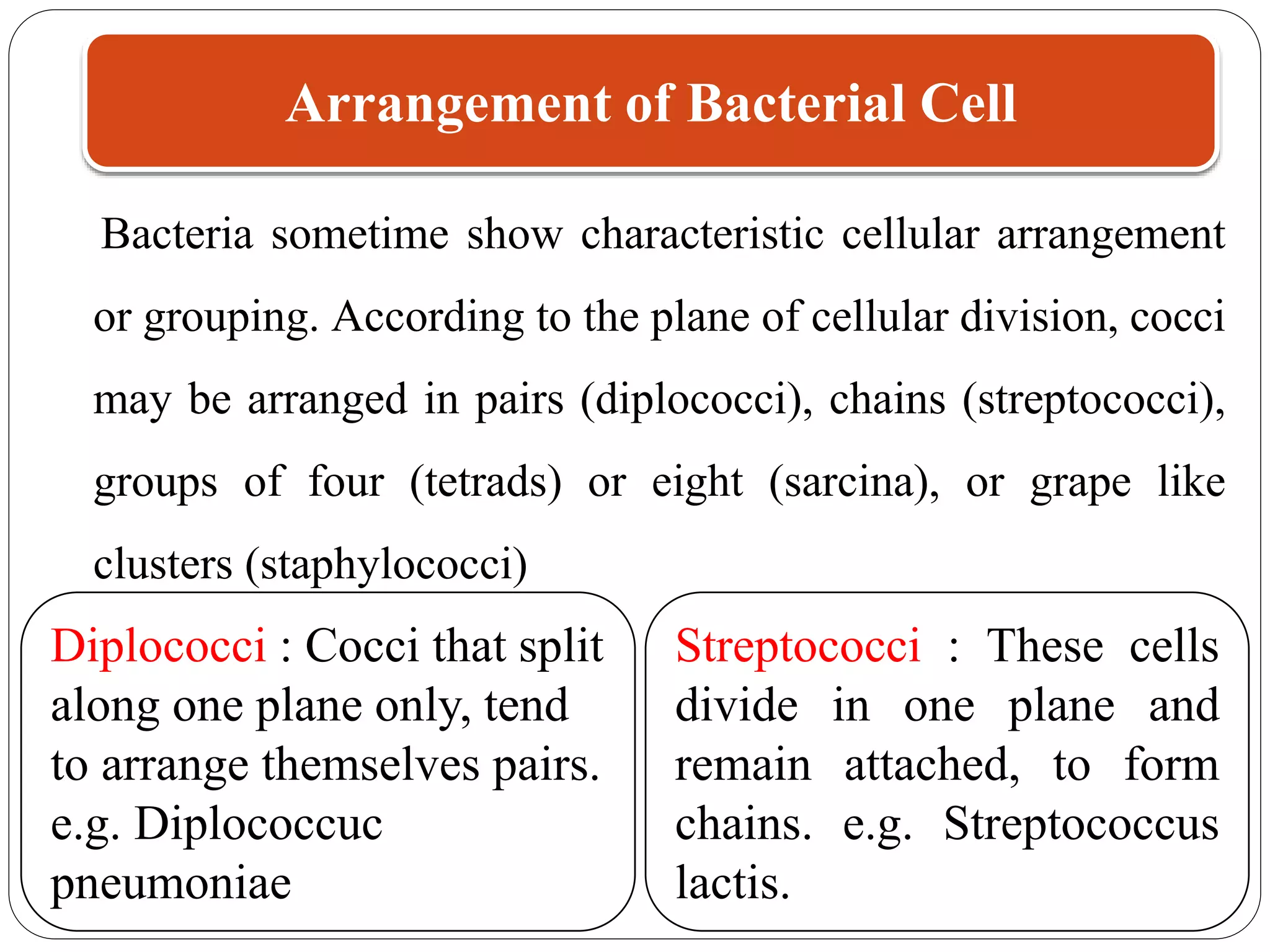 {Microbiology }Morphology of bacteria | PPTX