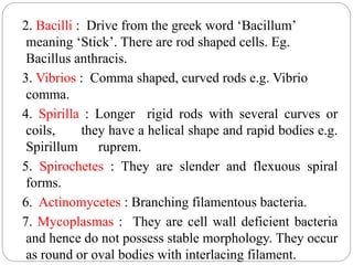 {Microbiology }Morphology of bacteria | PPTX