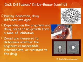 ACT antimicrobial susceptibility testing, inoculation and drug ...