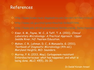 ACT antimicrobial susceptibility testing, inoculation and drug ...