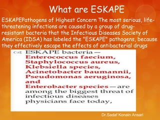 ACT antimicrobial susceptibility testing, inoculation and drug ...