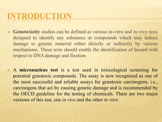micronucleus assay.pptx