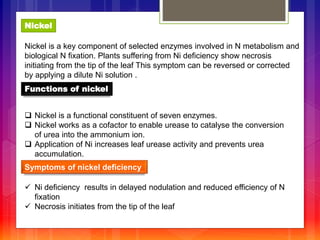 PLANT Micro nutrient | PPT