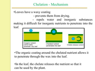 Micronutrient chelate (1) | PPTX