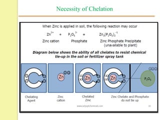 Micronutrient chelate (1) | PPTX