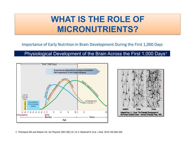 Micronutrient deficiencies in children .pptx | Chemistry | Science