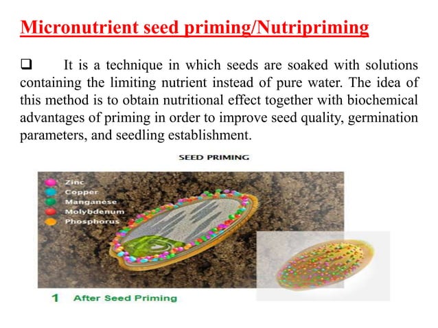 Micronutrient delivery system through seed in crop plants | PPT