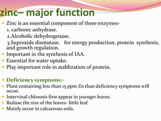 Micronutrients...Importance for plant nutrition | PPTX