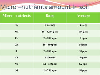 Micronutrients...Importance for plant nutrition | PPTX