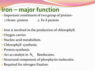 Micronutrients...Importance for plant nutrition | PPTX