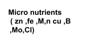 Micro nutrients | PPTX