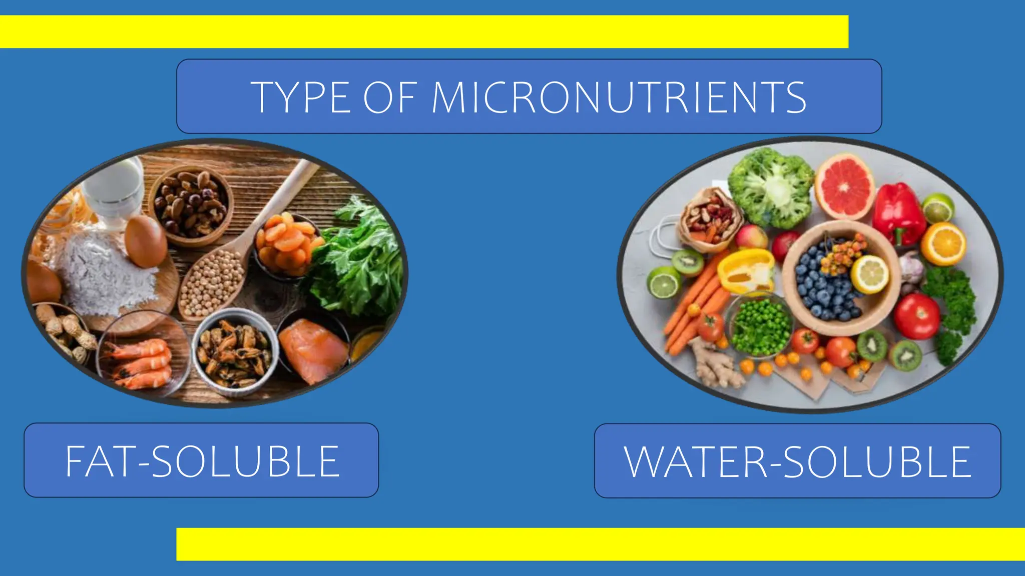 Micronutrients Sports nutrition MPE class.pptx