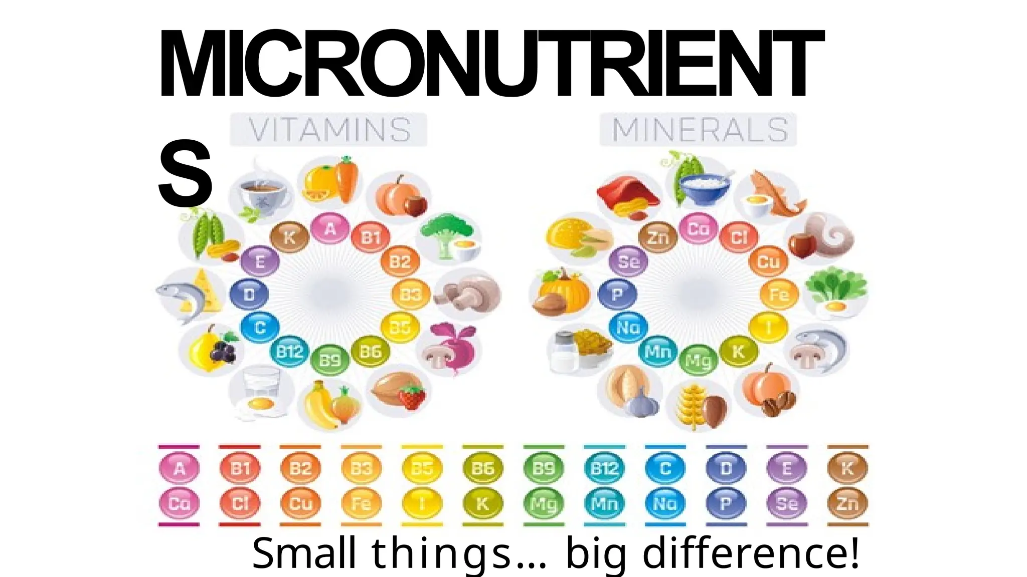 Micronutrients. Definitions, functions in the body. | PPTX