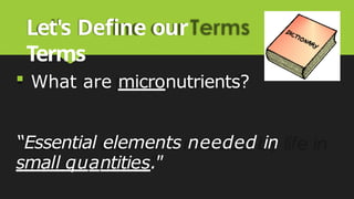 Micronutrients. Definitions, functions in the body. | PPTX