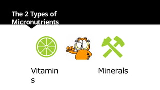 Micronutrients. Definitions, functions in the body. | PPTX