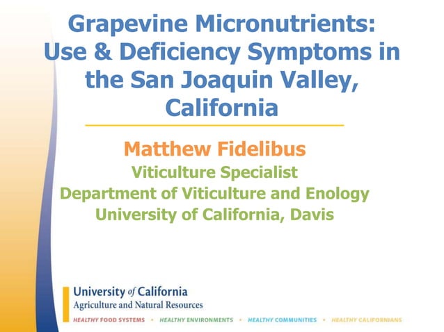Grapevine micronutrient use & deficiency symptoms in the SJV of ...