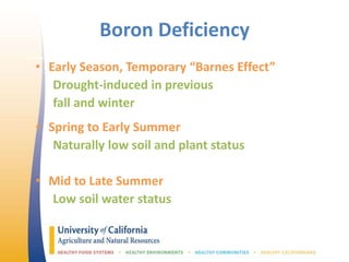 Grapevine micronutrient use & deficiency symptoms in the SJV of ...