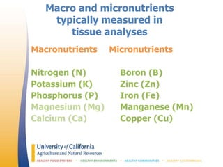 Grapevine micronutrient use & deficiency symptoms in the SJV of ...