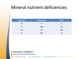 Grapevine micronutrient use & deficiency symptoms in the SJV of ...