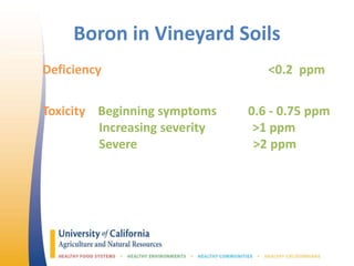 Grapevine micronutrient use & deficiency symptoms in the SJV of ...