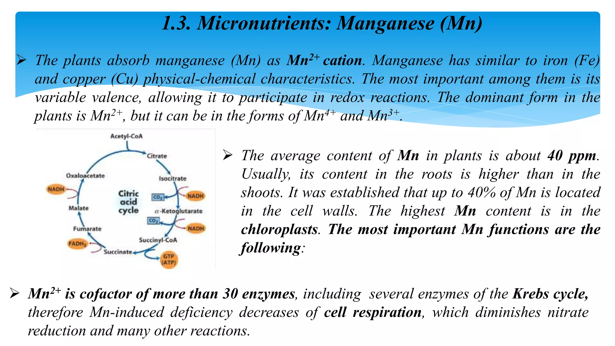Micronutrients and foliar fertilization.pptx