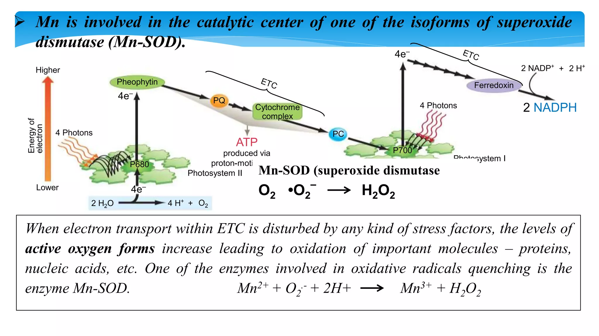 Micronutrients and foliar fertilization.pptx