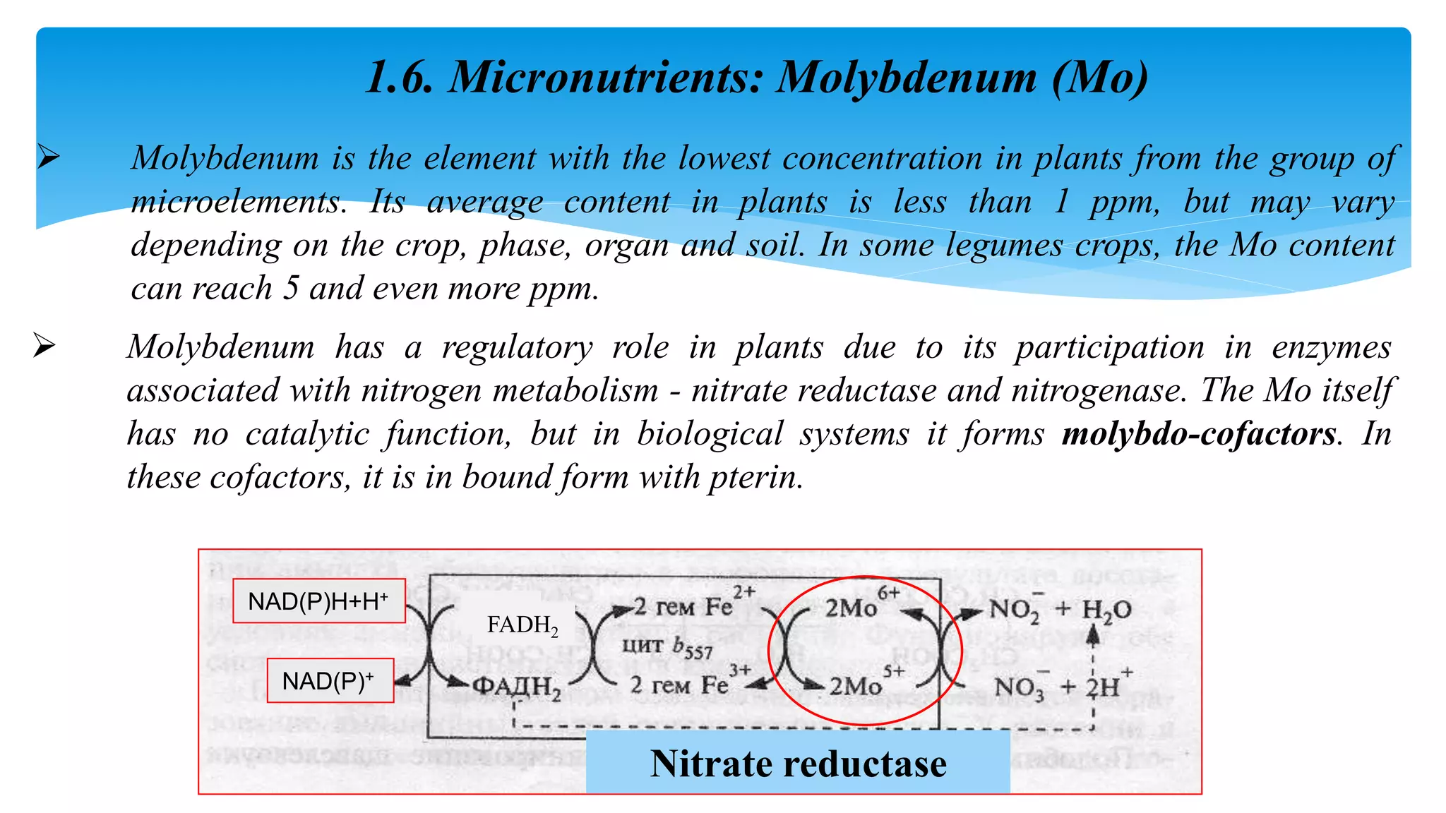 Micronutrients and foliar fertilization.pptx