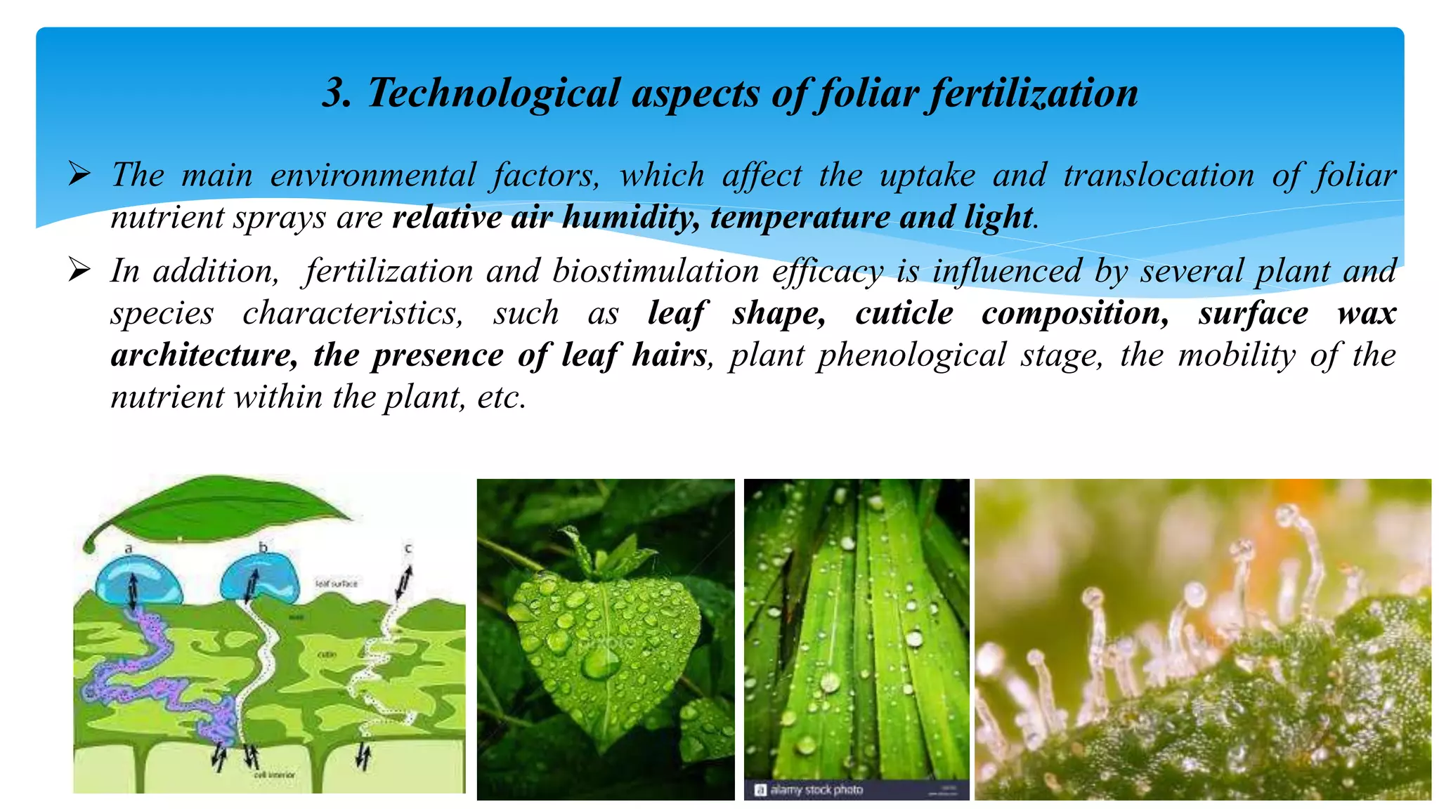 Micronutrients and foliar fertilization.pptx