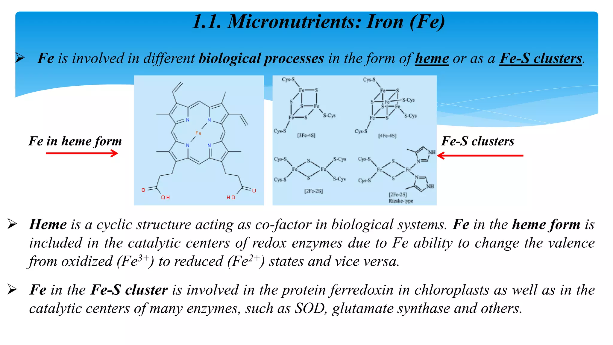 Micronutrients and foliar fertilization.pptx