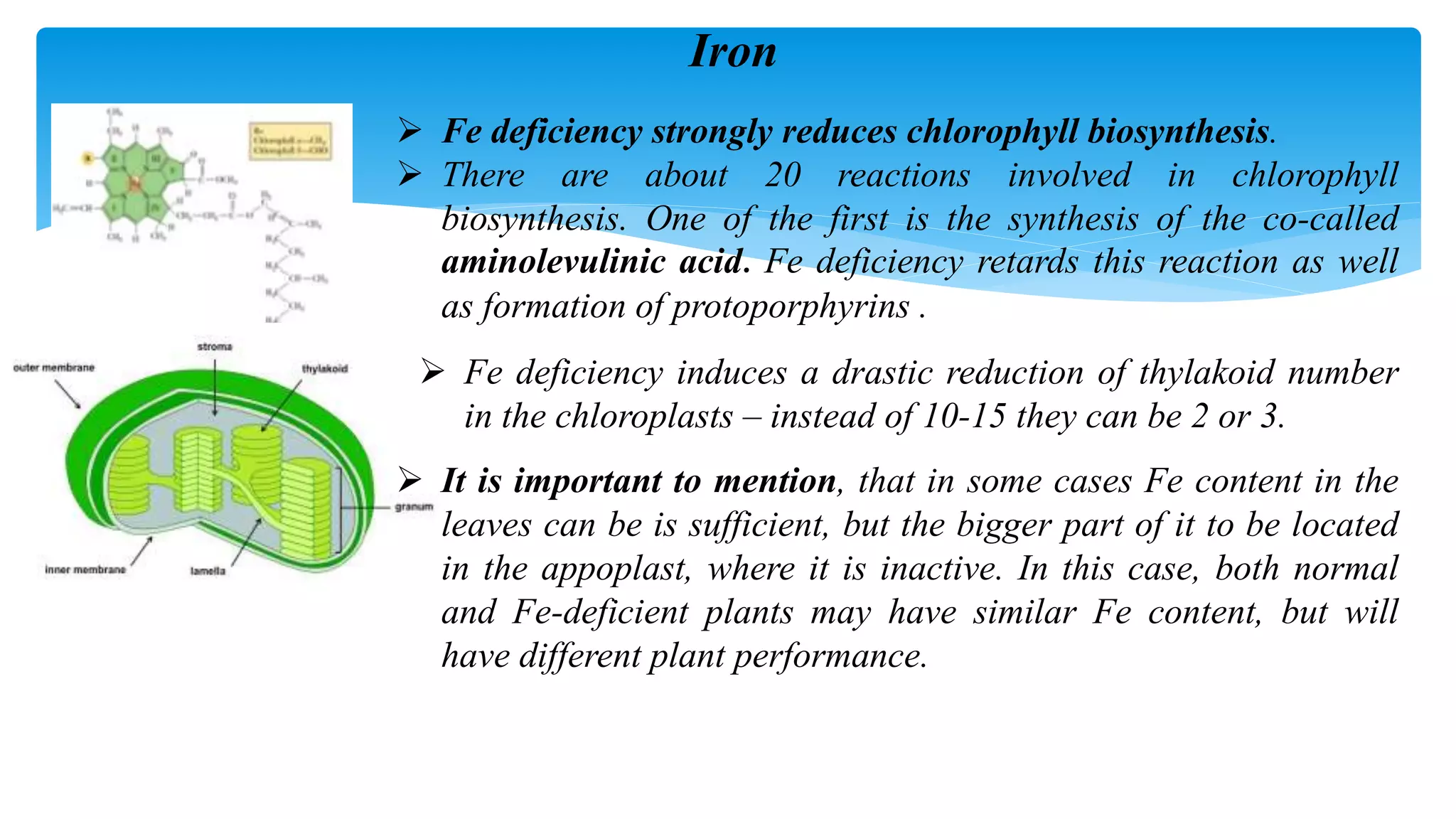 Micronutrients and foliar fertilization.pptx