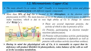 Micronutrients and foliar fertilization.pptx