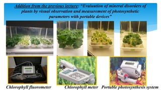 Micronutrients and foliar fertilization.pptx