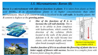 Micronutrients and foliar fertilization.pptx