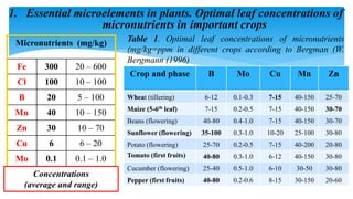 Micronutrients and foliar fertilization.pptx