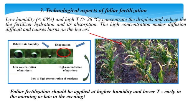 Micronutrients and foliar fertilization.pptx
