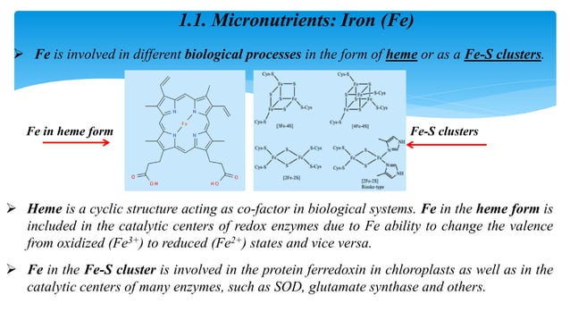 Micronutrients And Foliar Fertilization Pptx