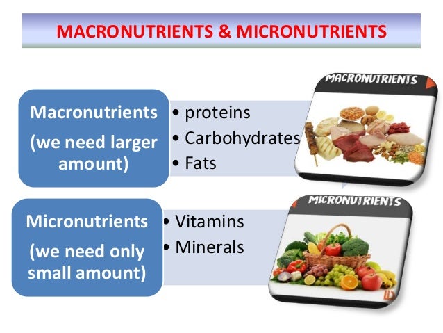 Understanding Micro nutrients and future of fortification