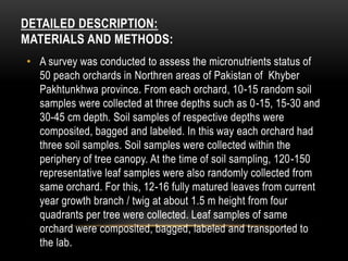 Micro nutrients deficiency in peach | PPTX