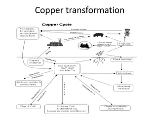 micronutrient transformation in soil.ppt | Agriculture | Industries