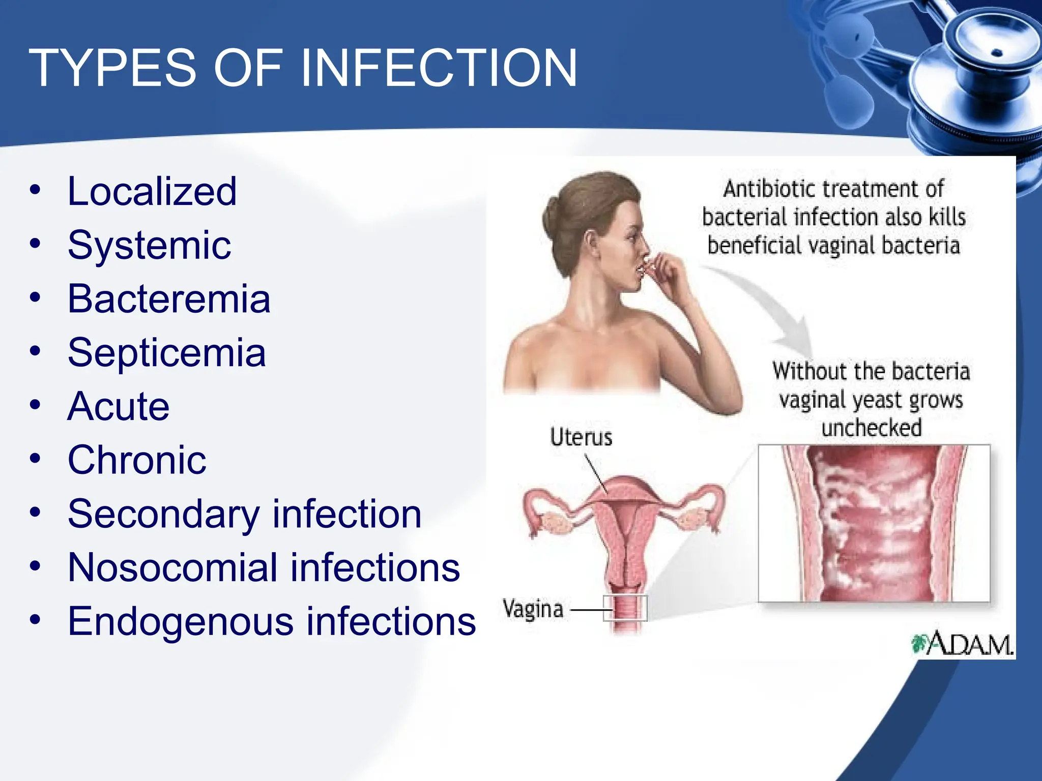 micro organis and human diseases chapter 4.ppt