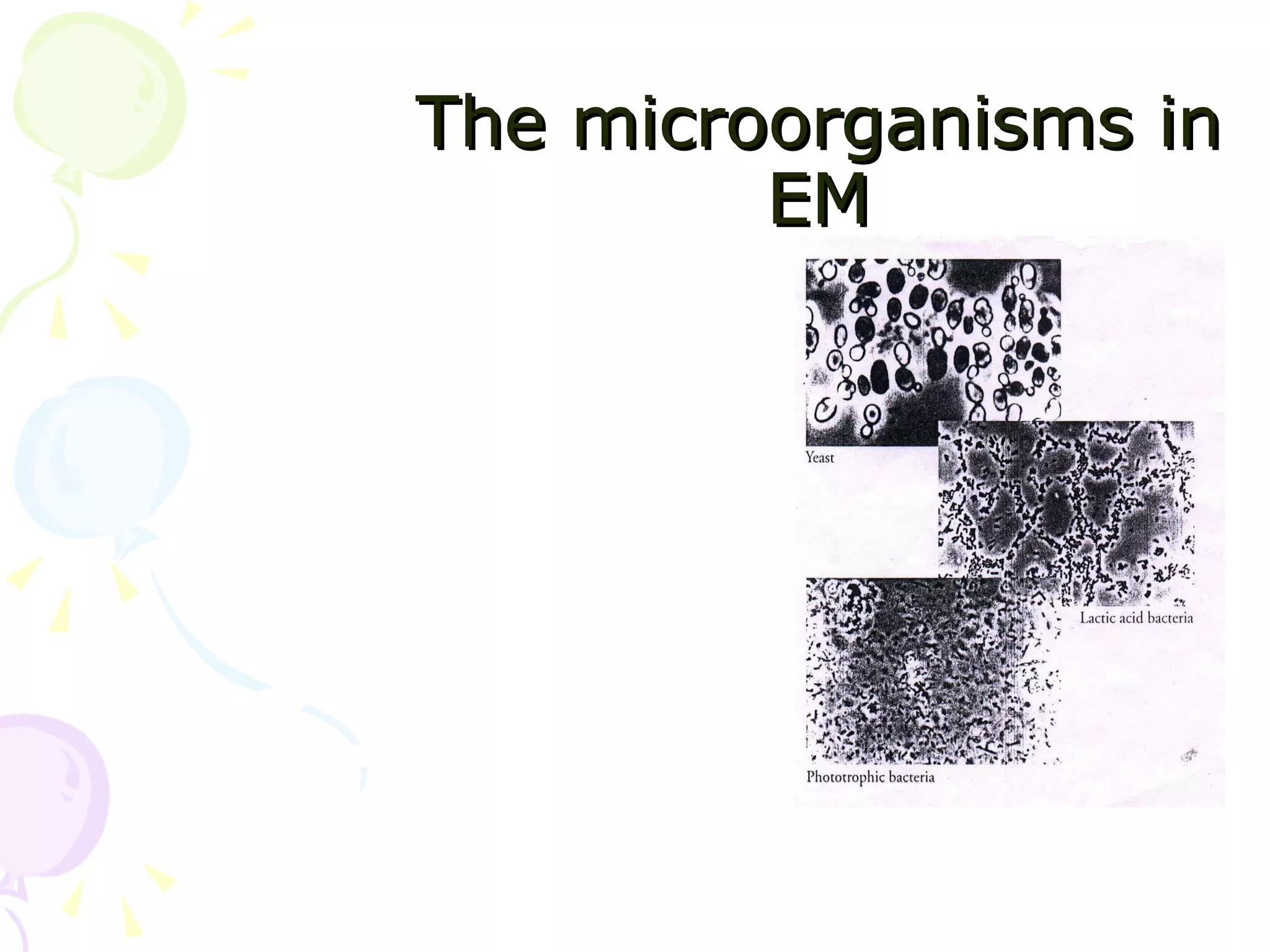 Effective microorganisms | PPT